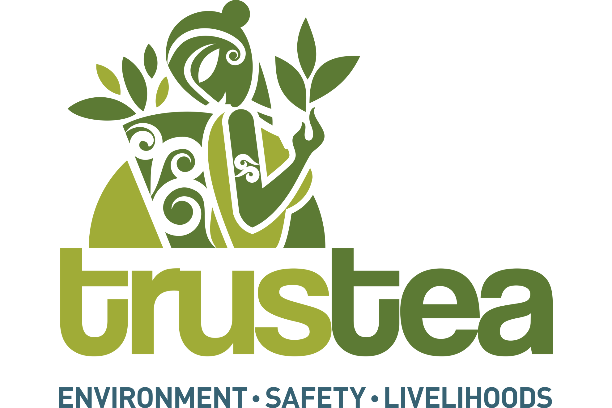 Sree Sibbari Tea Estates – A century of crafting the perfect cup of tea